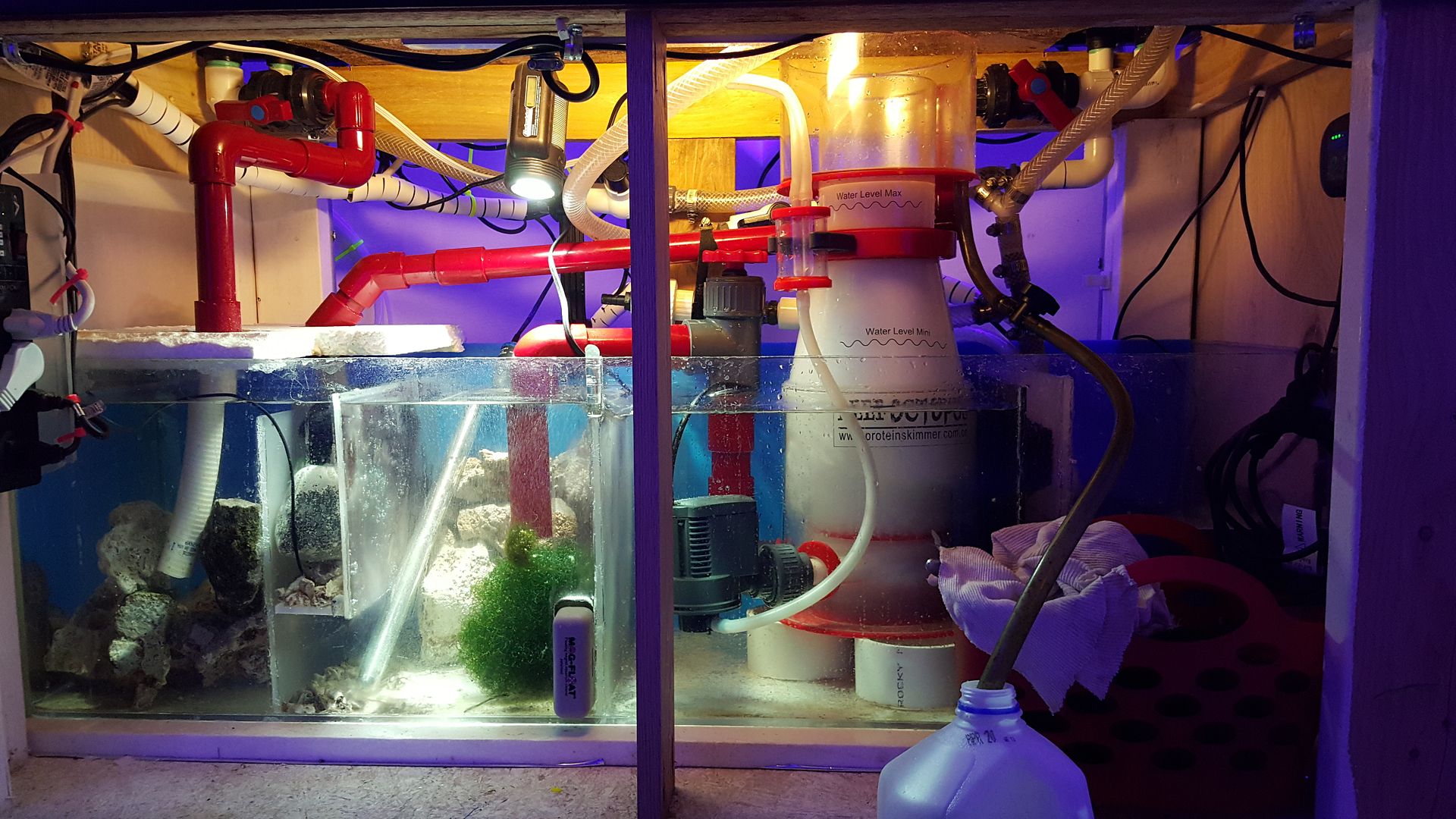 Show me your plumbing | Reef2Reef